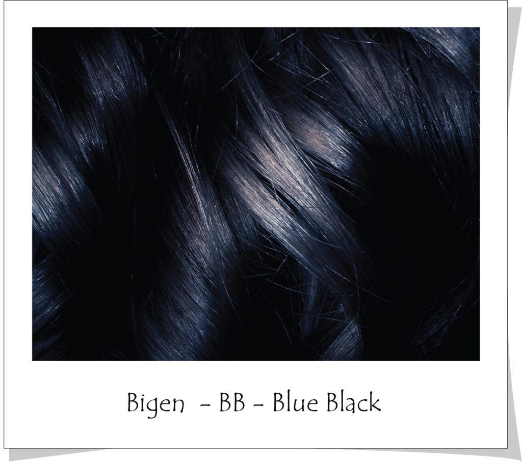 Bigen - Bigen SA