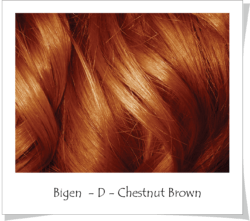 Bigen - Bigen SA
