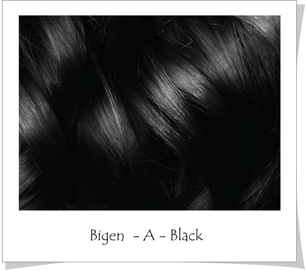 Bigen - Bigen SA