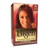 Bigen - Bigen SA